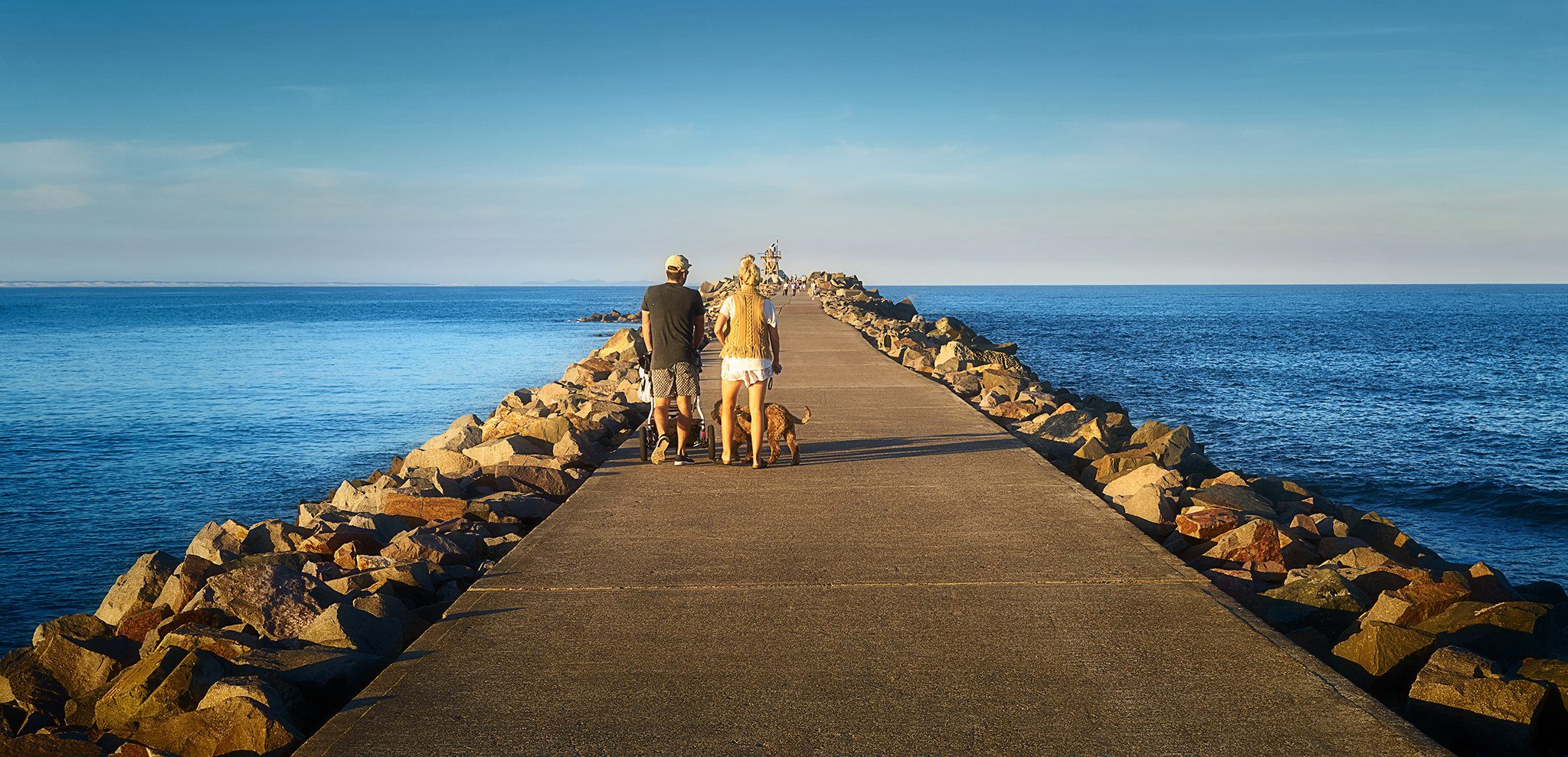 About Us - Phoenix Risk Services